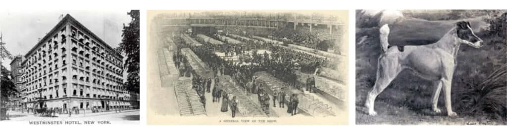 About Us - The Westminster Kennel Club