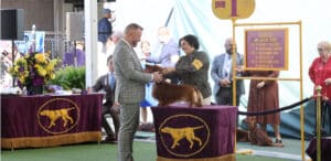 Exhibitors - The Westminster Kennel Club