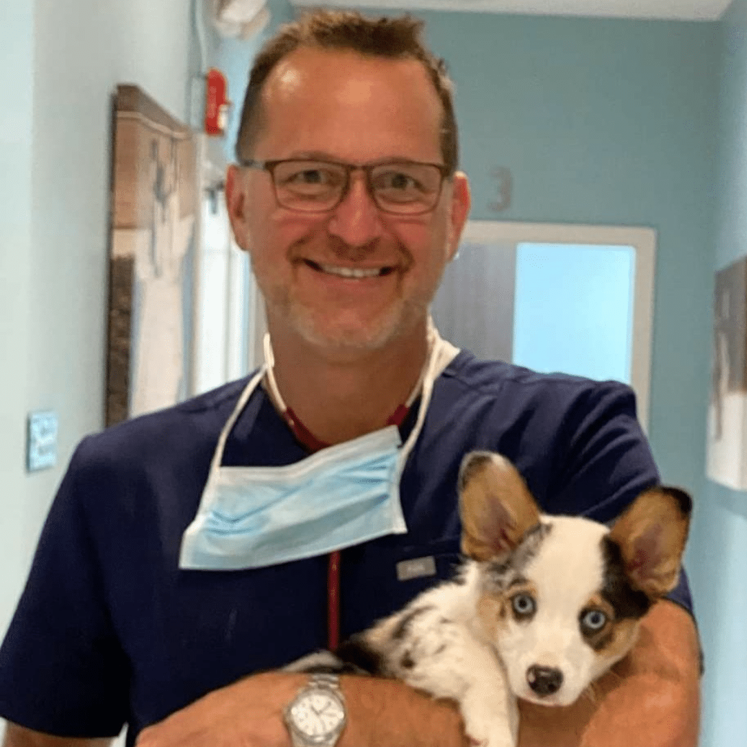 Veterinarian of the Year - The Westminster Kennel Club