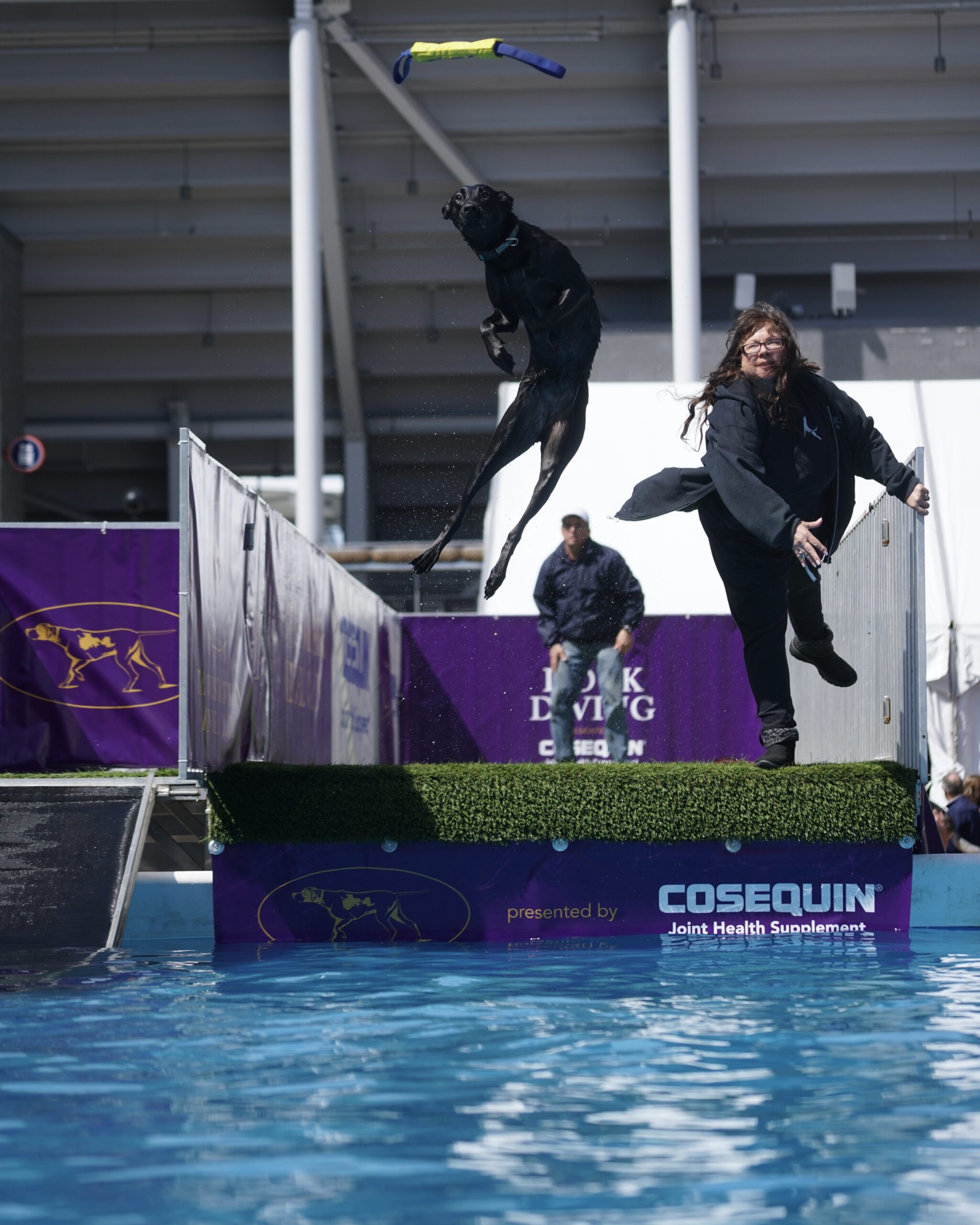 2024 Dock Diving Candids - The Westminster Kennel Club