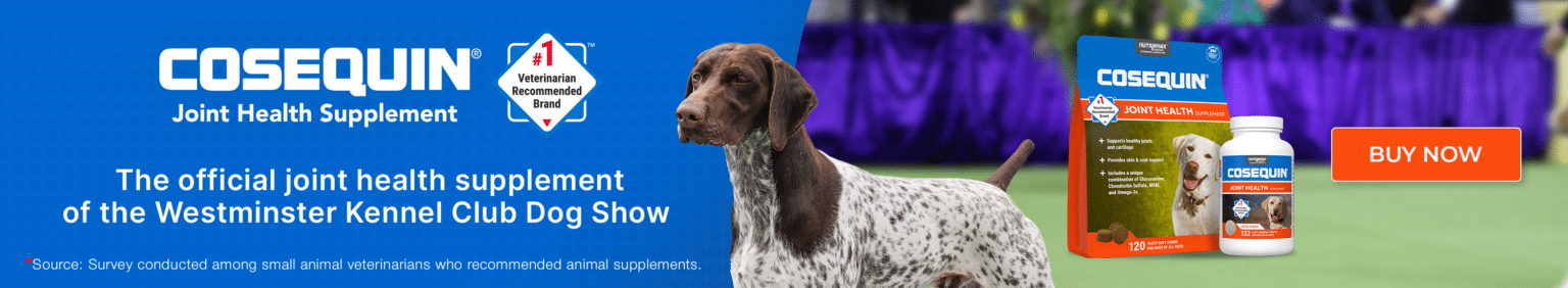 Exhibitors - The Westminster Kennel Club