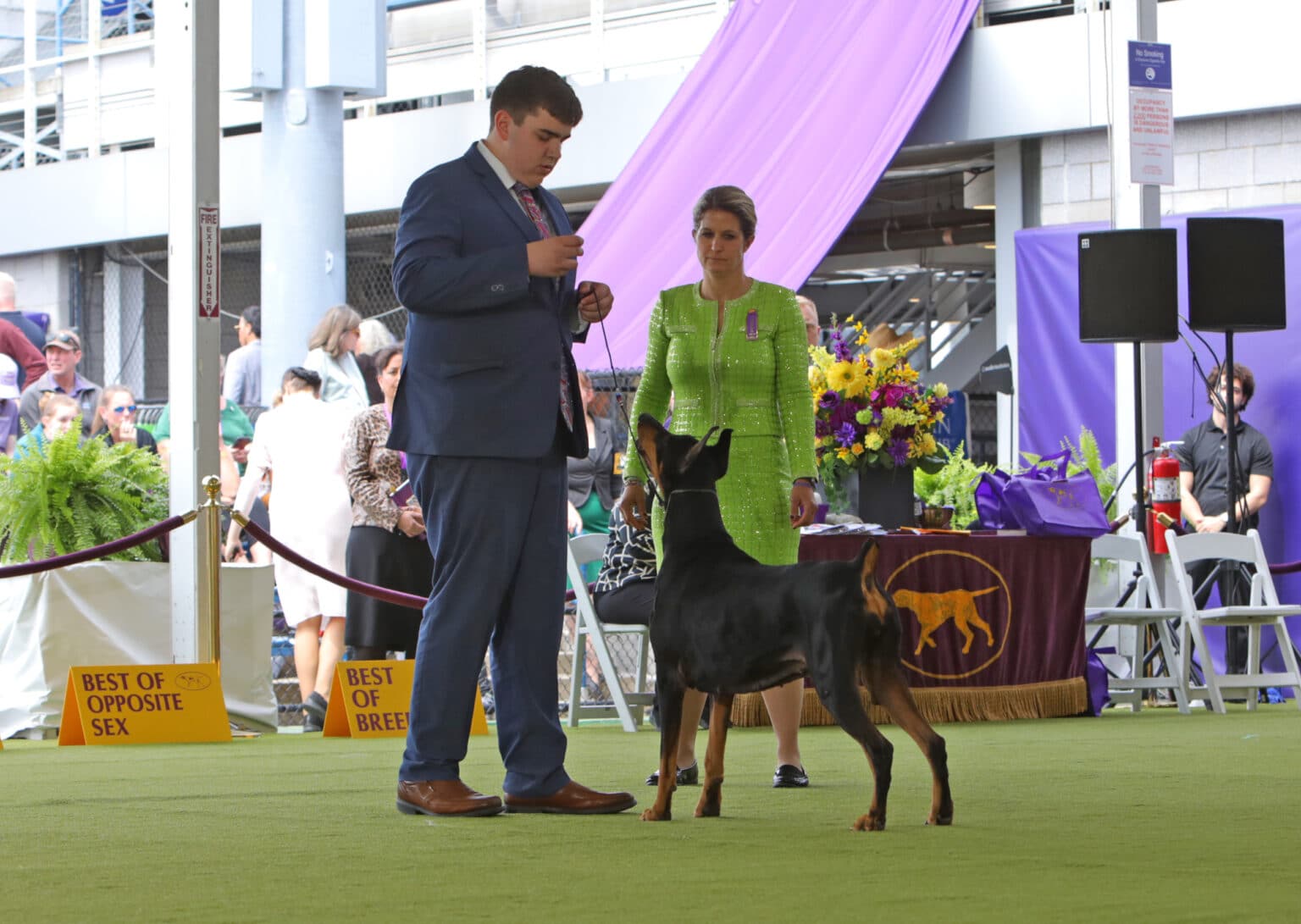 Junior Showmanship, Explained - The Westminster Kennel Club