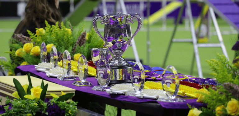 Exhibitors - The Westminster Kennel Club