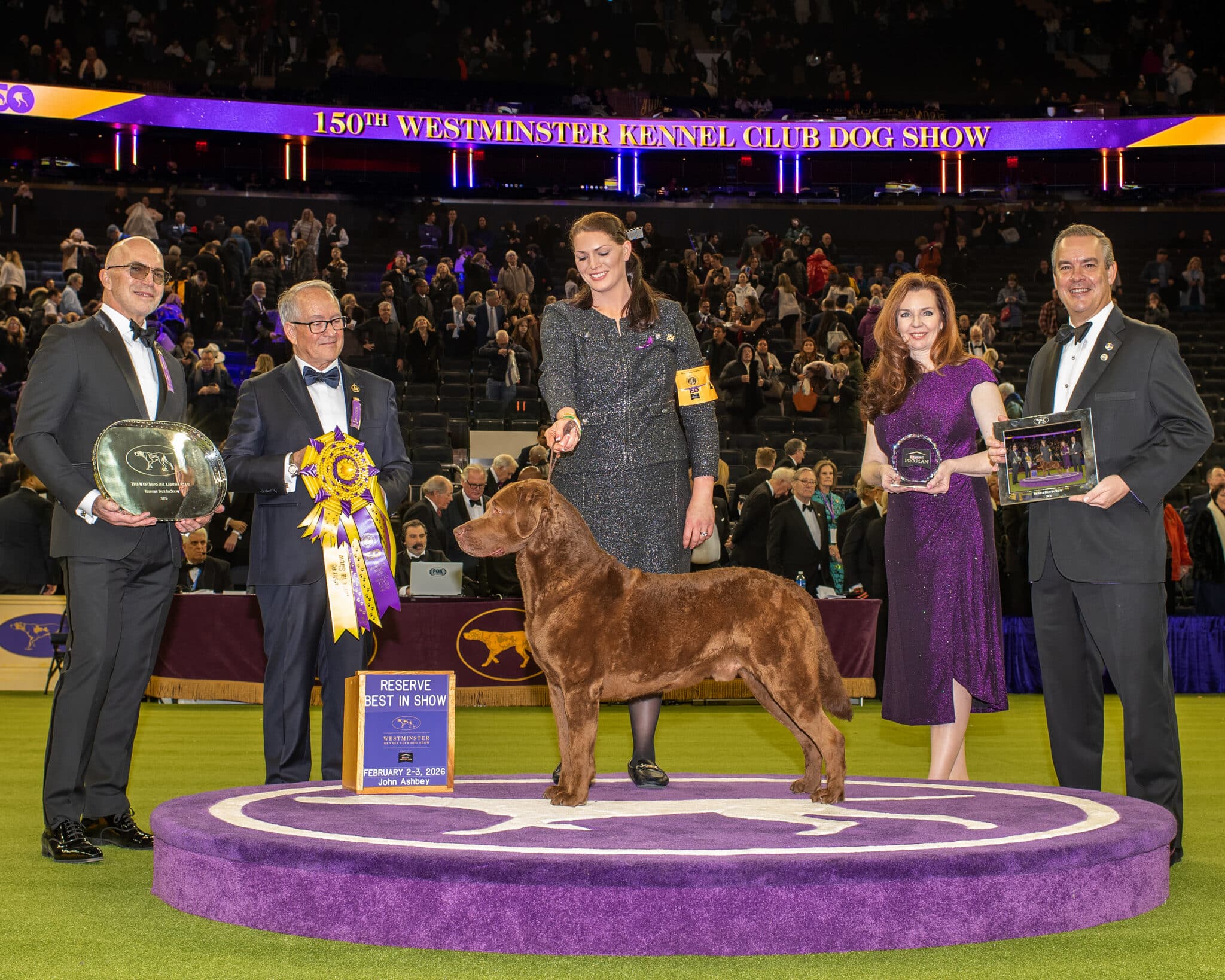 2026 Best in Show - The Westminster Kennel Club